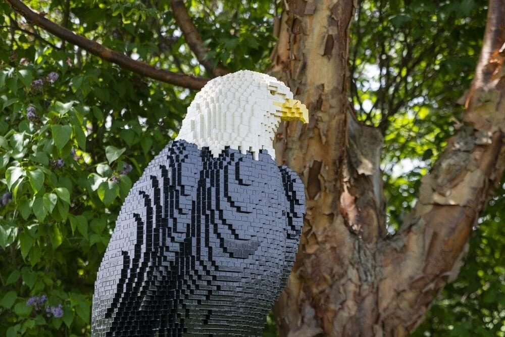 Winter Discovery Packs » Wildlife »Holden Forests & Gardens