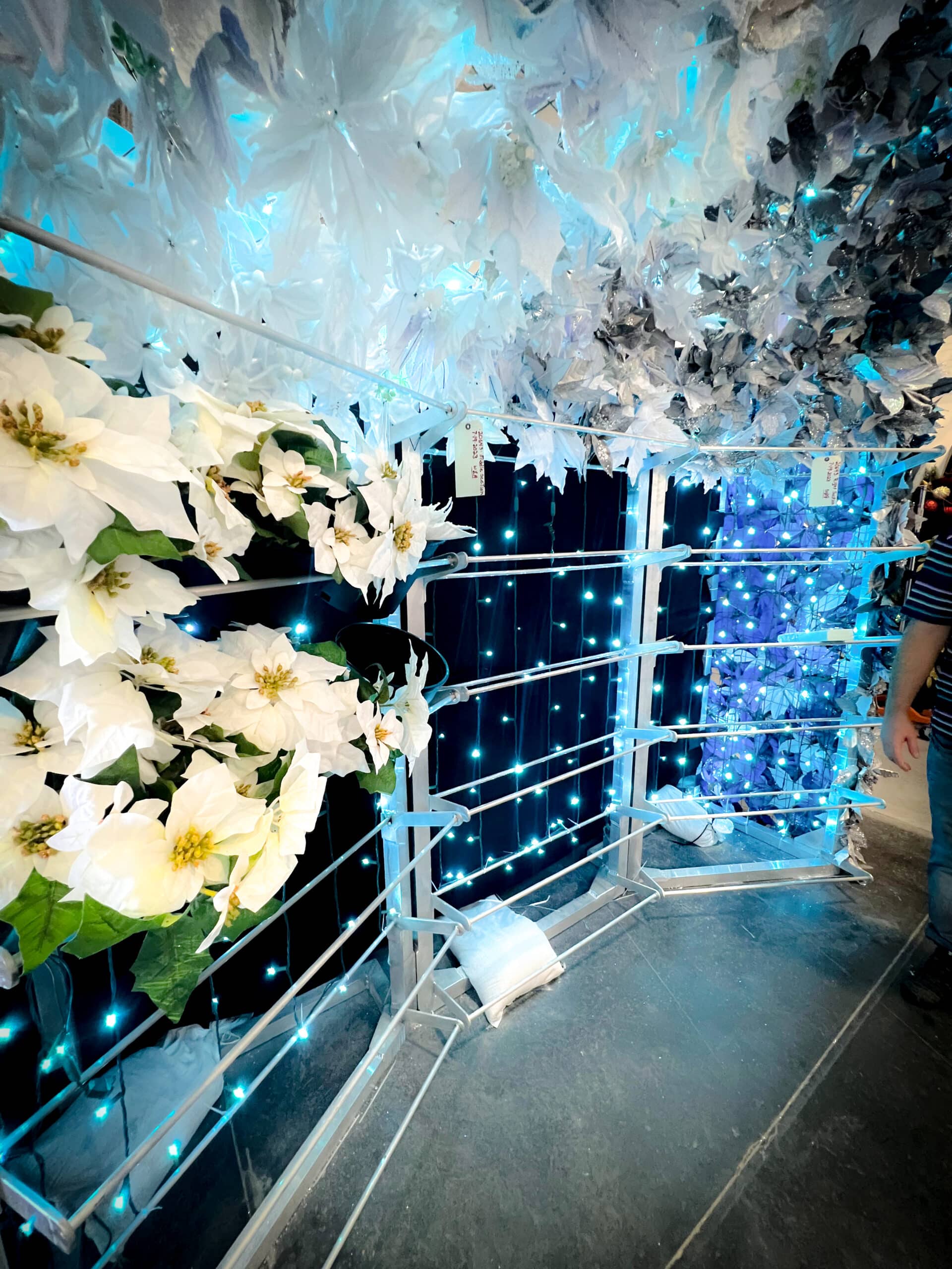 FROST » Holden Forests & Gardens