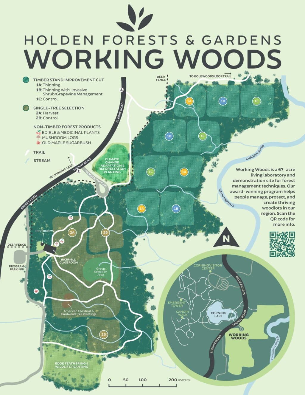 Holden researchers put forest management strategies to the test. Here’s ...