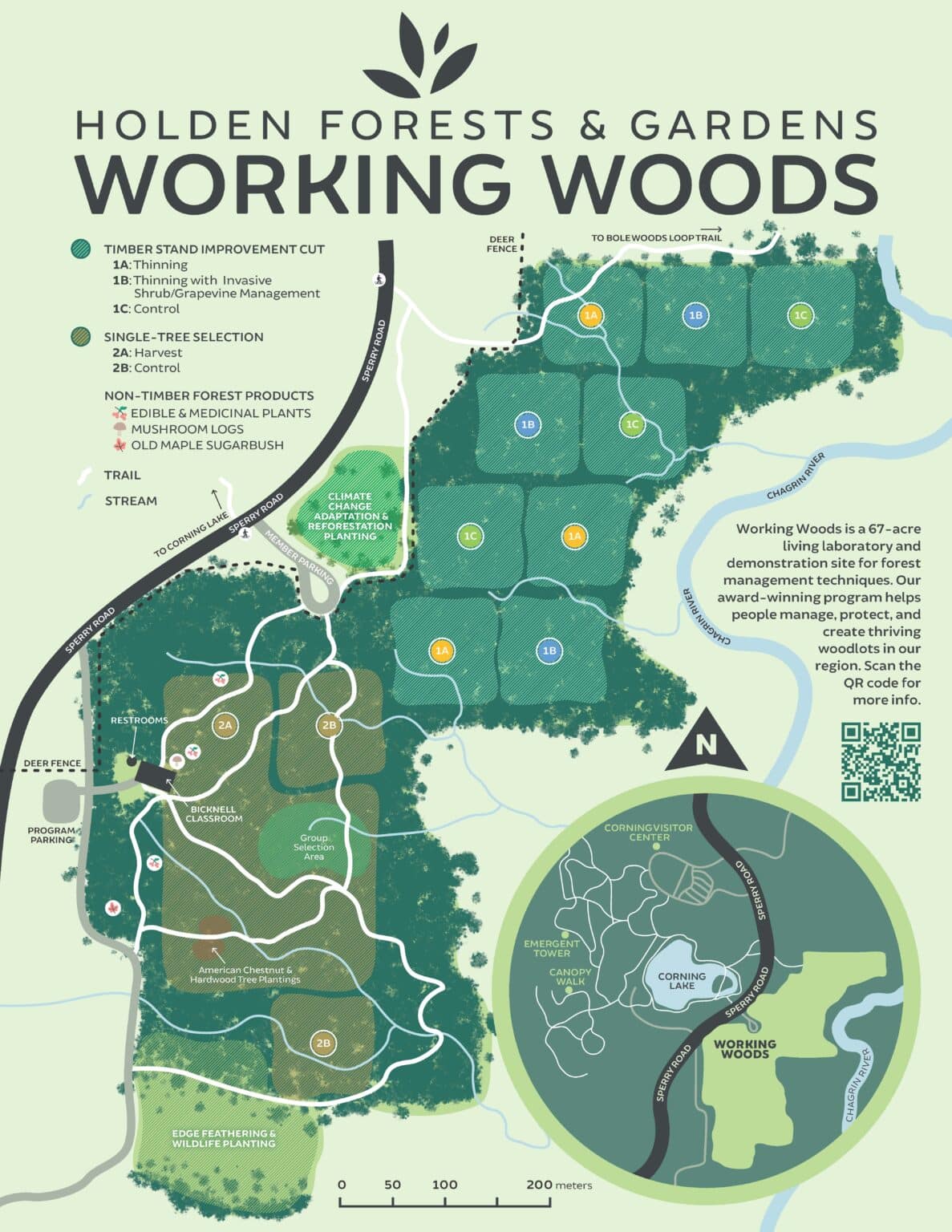 Holden researchers put forest management strategies to the test. Here’s ...