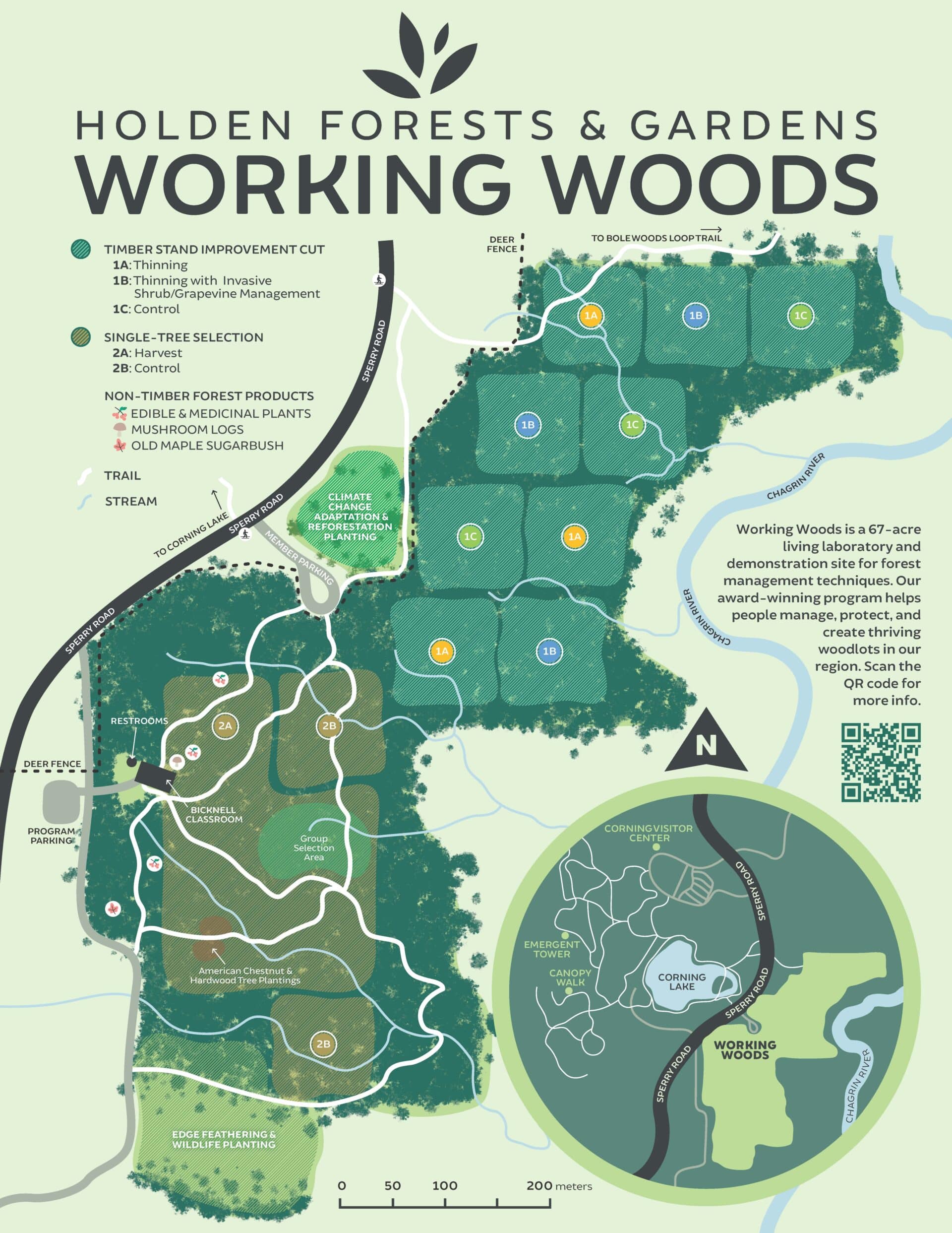 Working Woods » HF&G