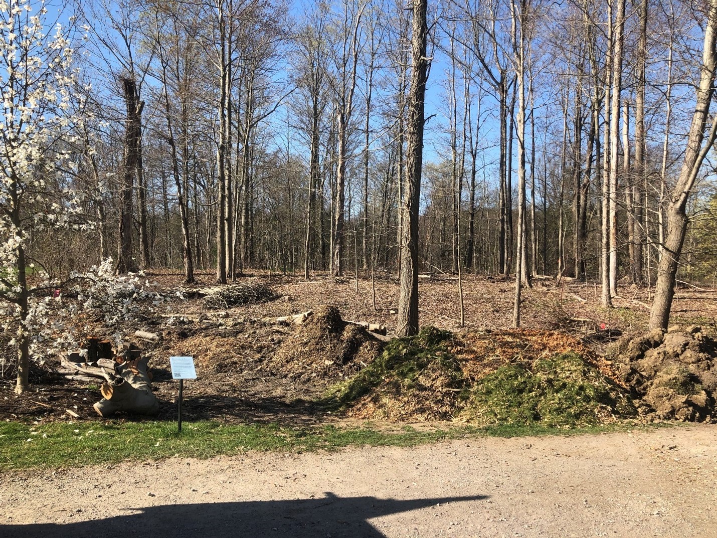 Hügelkultur in the Core Natural Areas Part 2 » Plants, Soils » HF&G