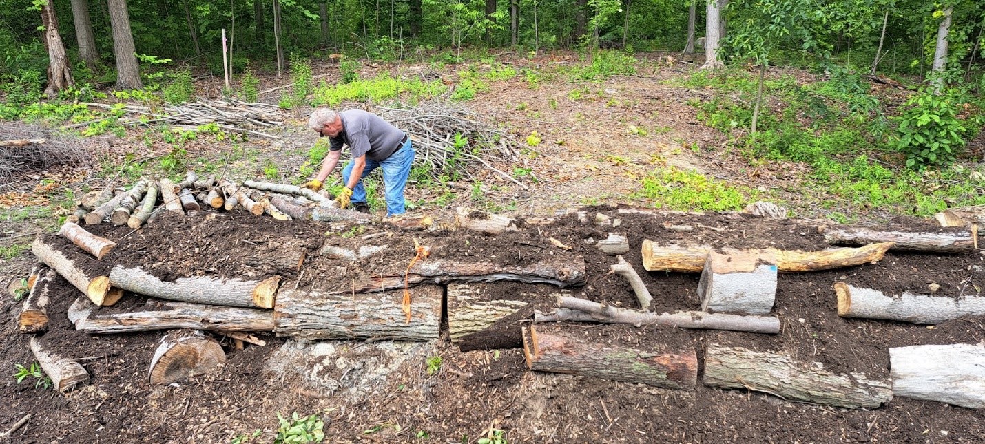 Hügelkultur in the Core Natural Areas Part 2 » Plants, Soils » HF&G
