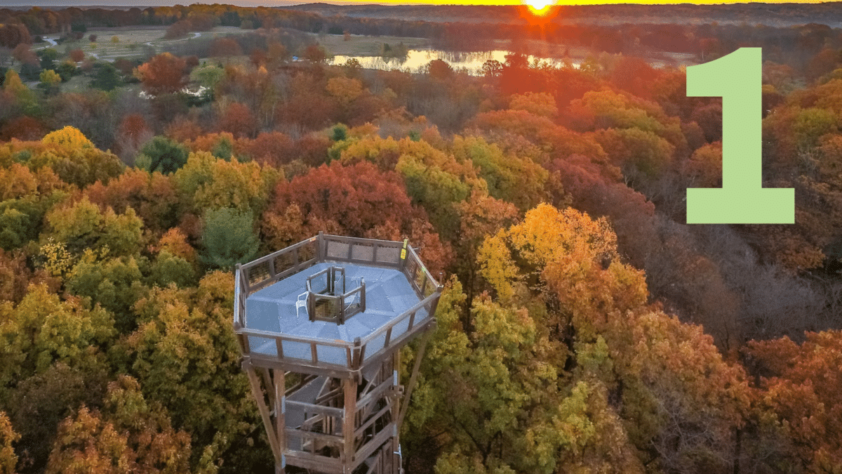 Social Story: Kalberer Emergent Tower » HF&G