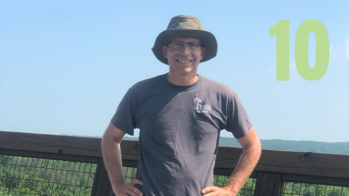 Social Story: Kalberer Emergent Tower » HF&G