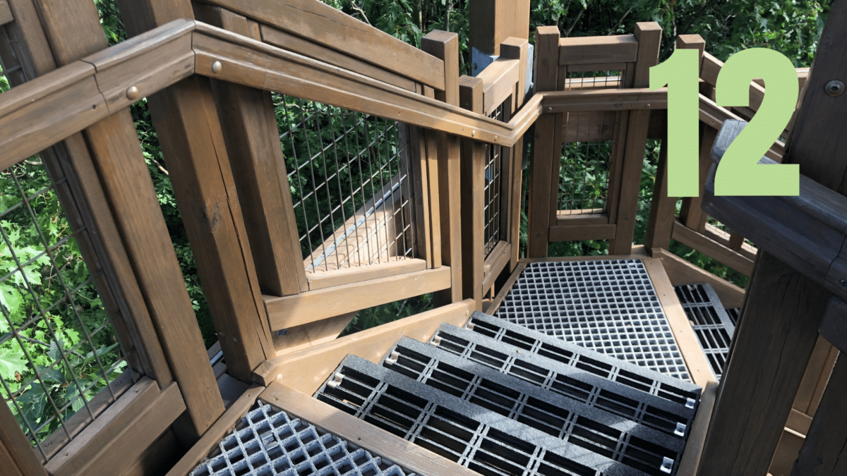 Social Story: Kalberer Emergent Tower » HF&G