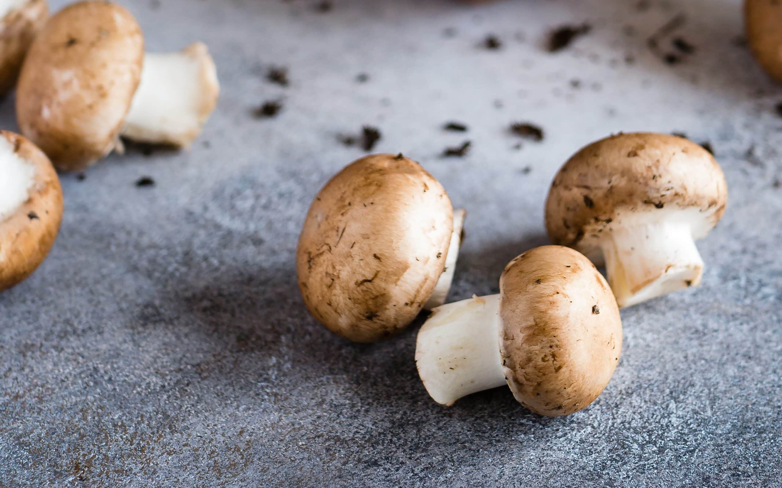 3 Mushroom-Based Recipes to Celebrate the End of Mushroom Month ...