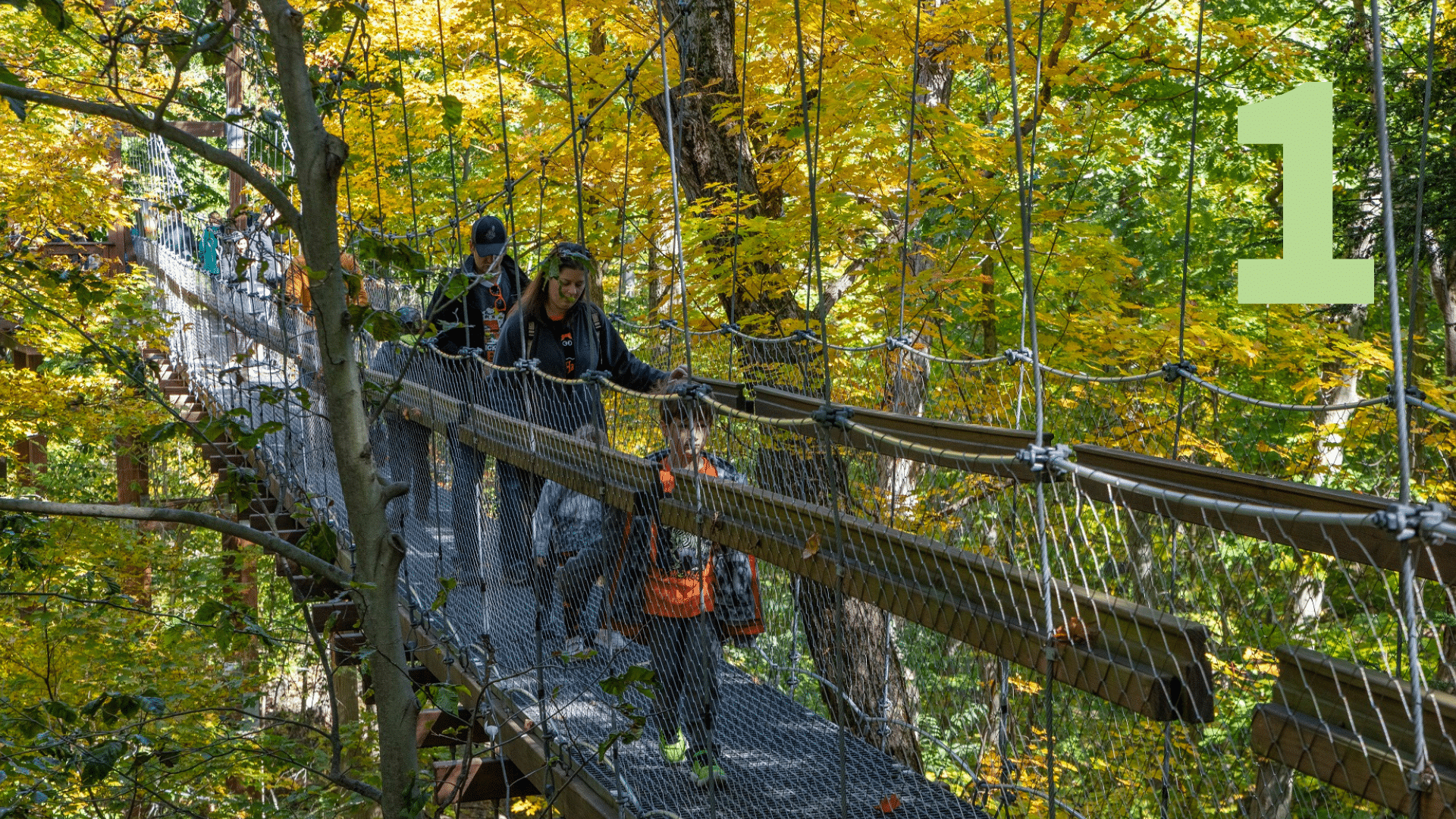 Social Story: Murch Canopy Walk » HF&G