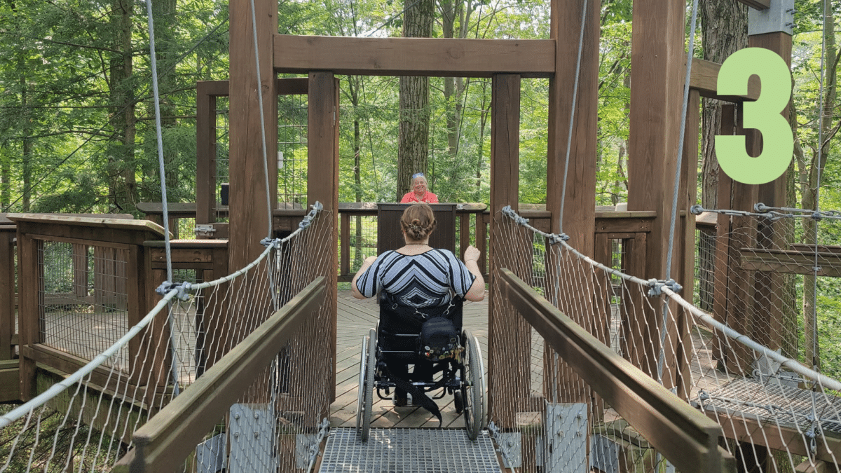 Social Story: Murch Canopy Walk » HF&G