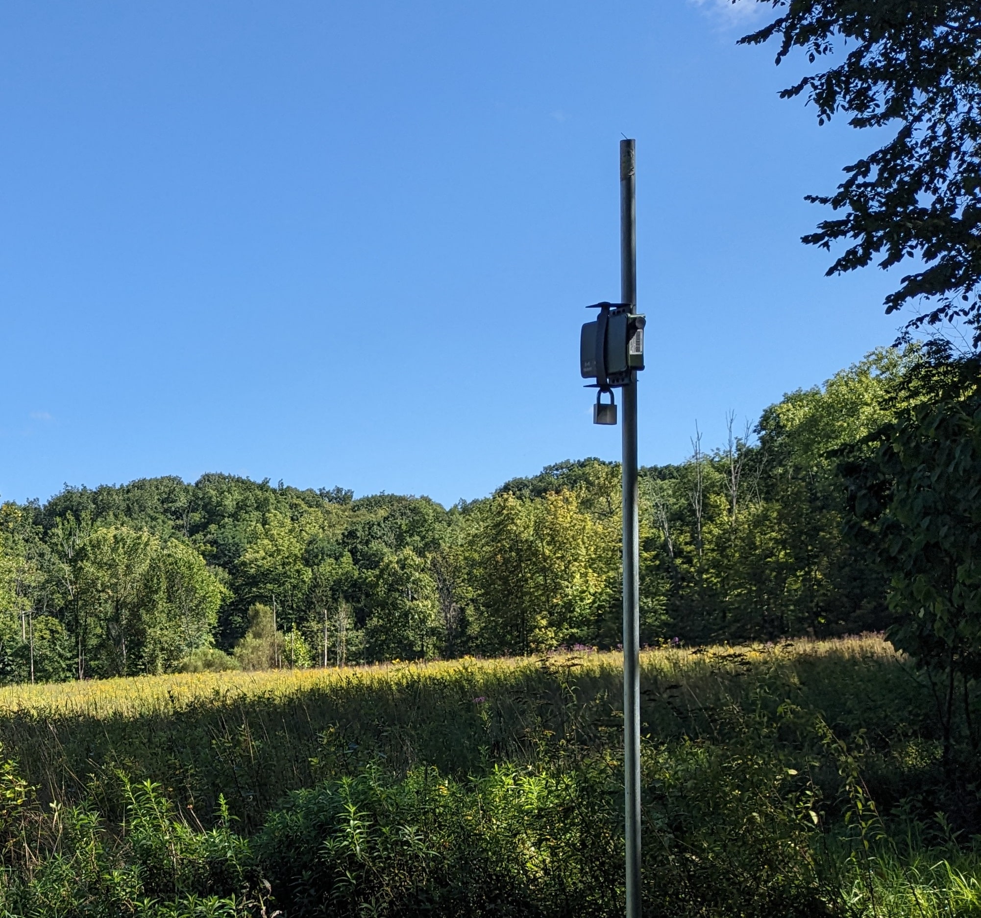 Holden’s Bat Detectors Reveal (Almost) All of Ohio’s Bat Species Live ...