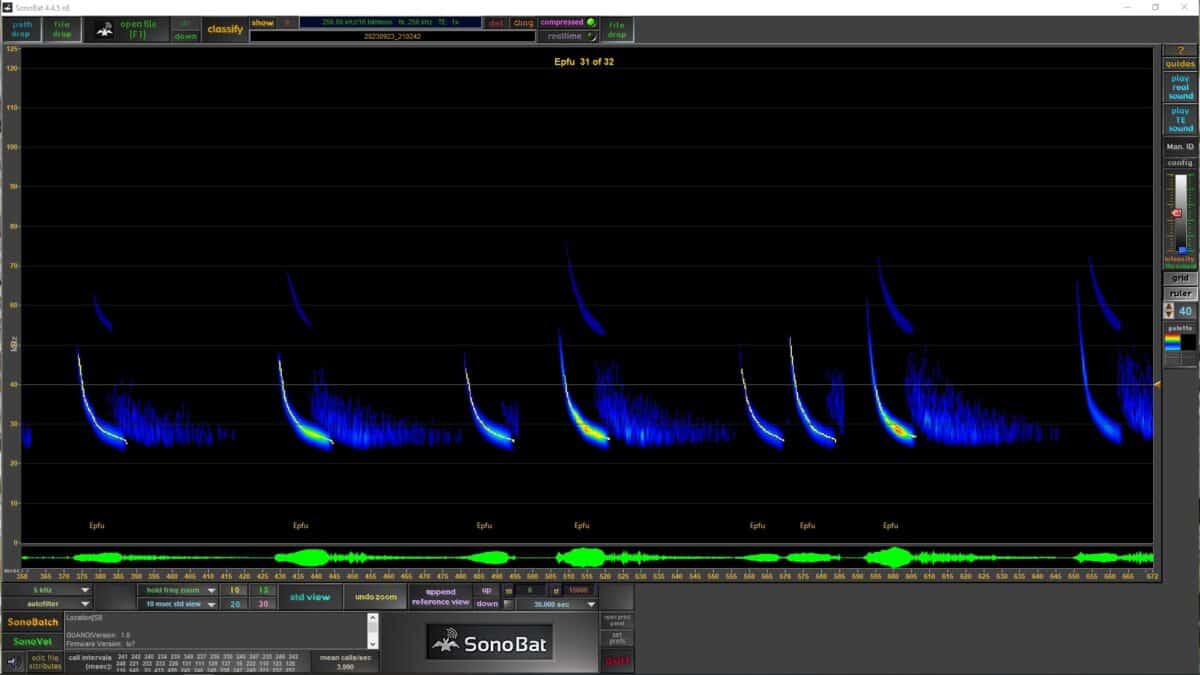 Holden’s Bat Detectors Reveal (Almost) All of Ohio’s Bat Species Live ...