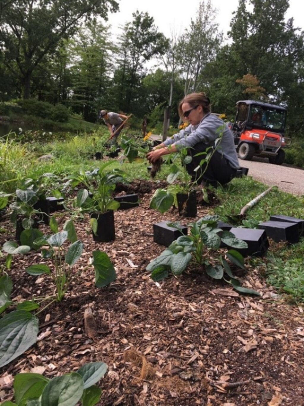 What does a horticulturalist do at a public garden? » Other » HF&G