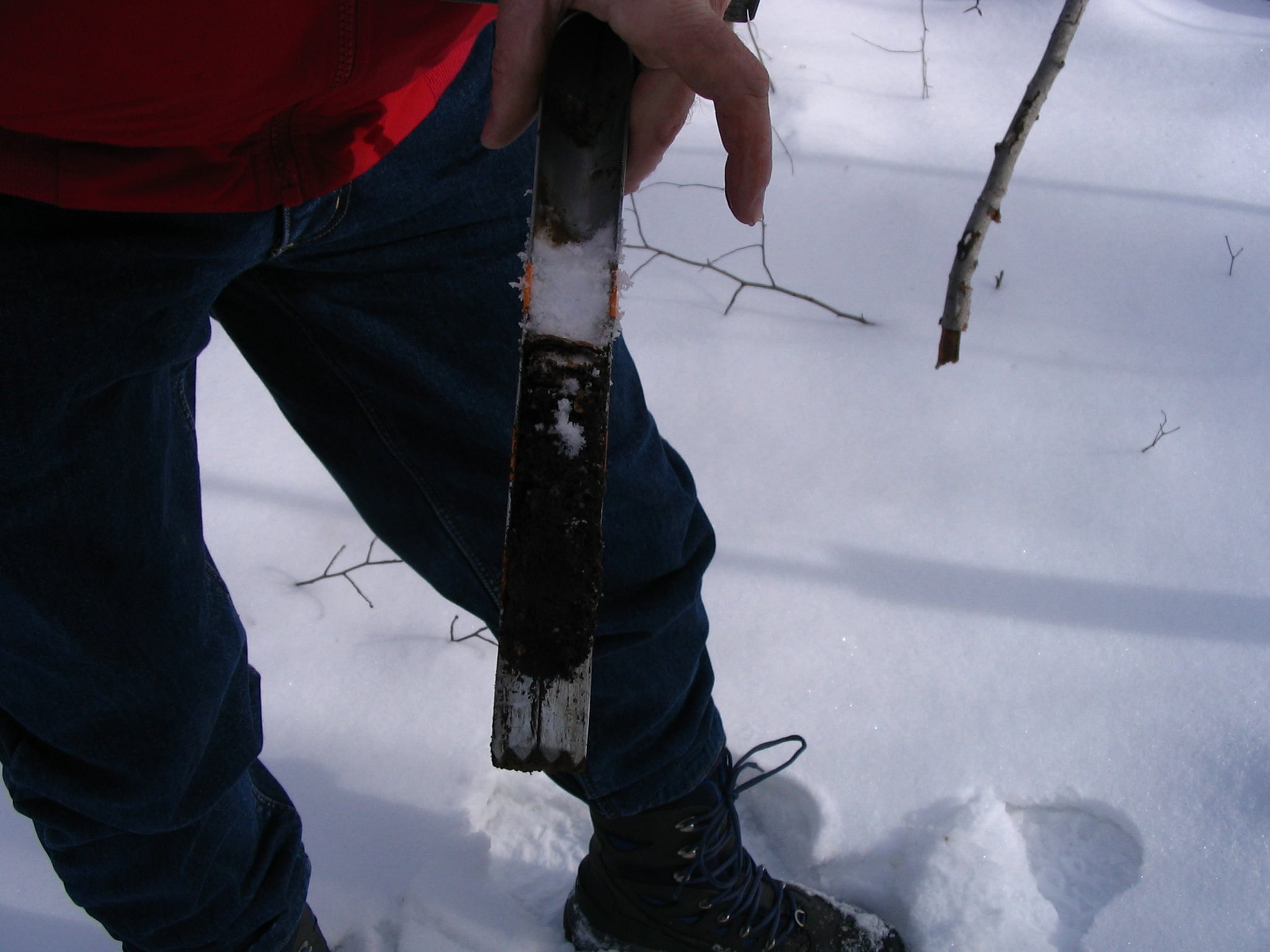 Soils Under Snow Still Carry On » Soil ecology, Soils » HF&G