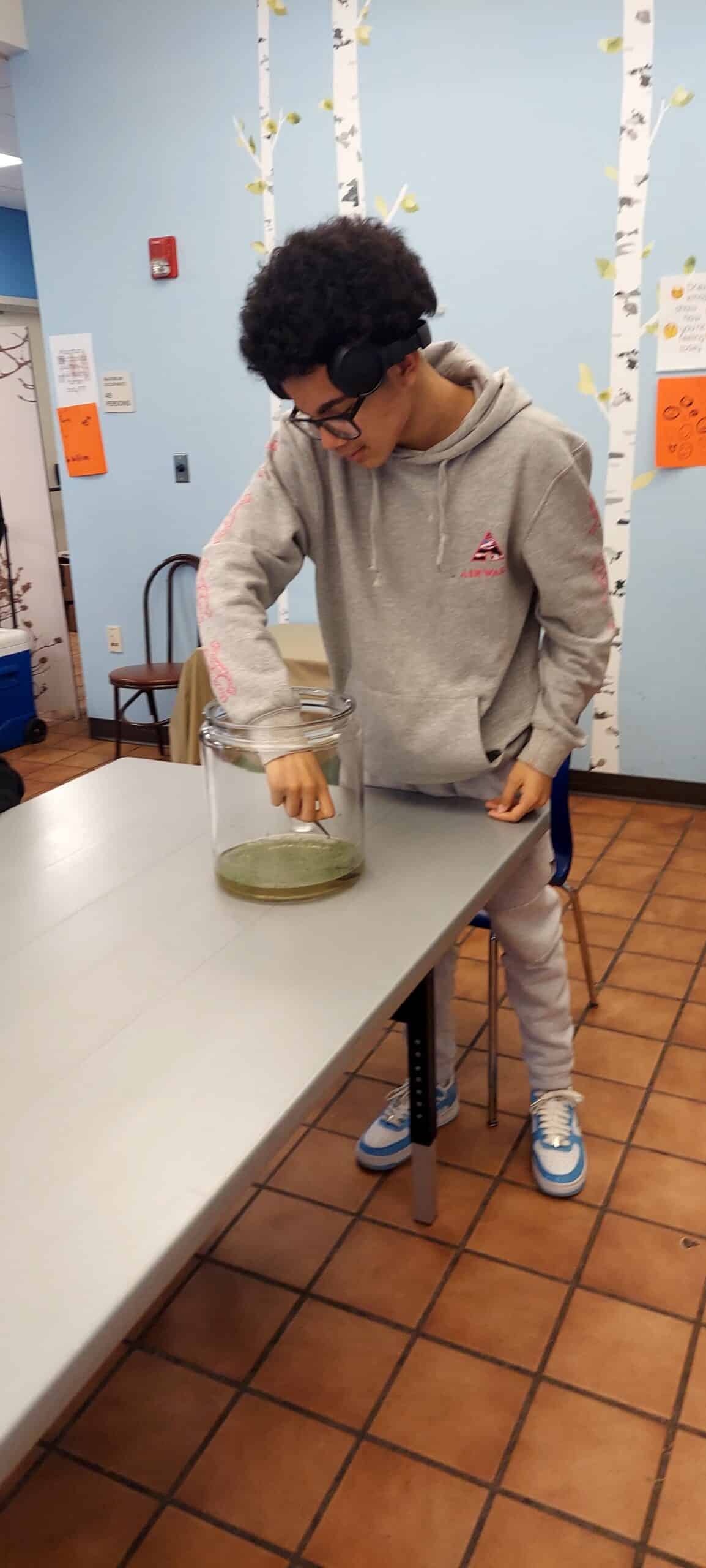 Duckweed Hits Classrooms Across Cleveland for a Science Lesson » Plants ...