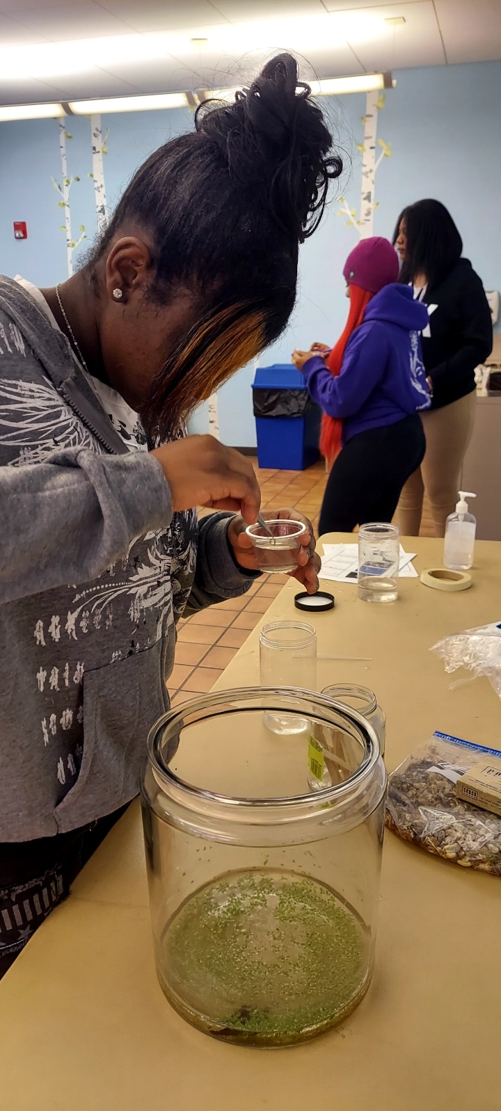Duckweed Hits Classrooms Across Cleveland for a Science Lesson » Plants ...