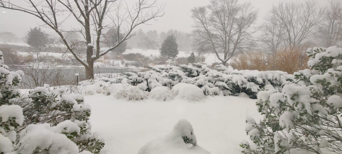 Snow and Dormancy: A Delicate Balance Threatened By Climate Change ...