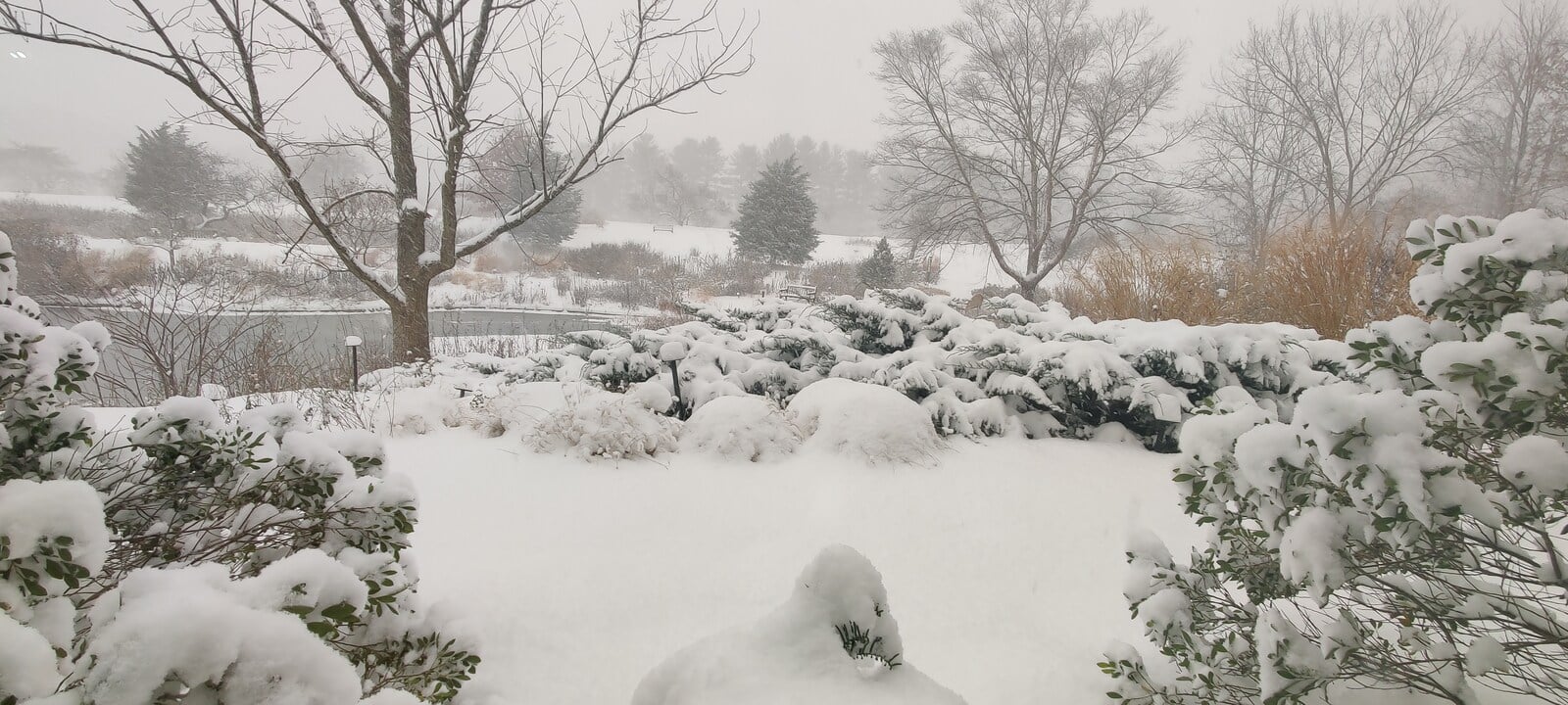 Snow and Dormancy: A Delicate Balance Threatened By Climate Change ...