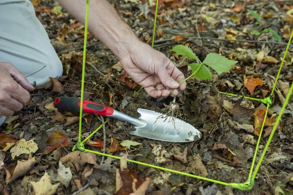 Smithsonian’s Life in One Cubic Foot comes to the Cleveland Botanical ...