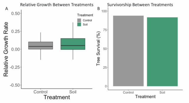 Can inoculated soils promote healthy urban trees? Preliminary results ...