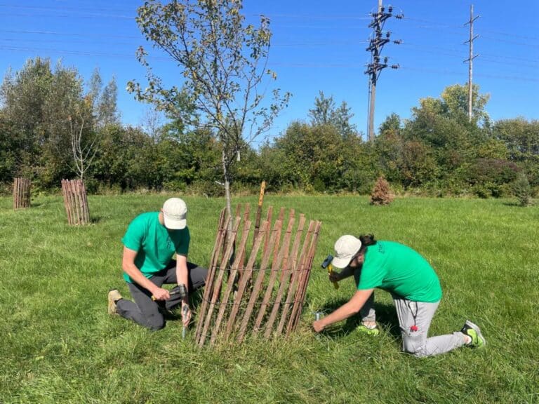 Can inoculated soils promote healthy urban trees? Preliminary results ...
