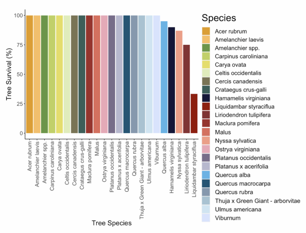 Can inoculated soils promote healthy urban trees? Preliminary results ...