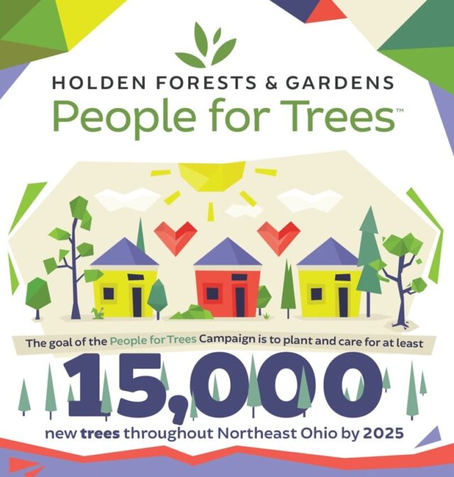 People for Trees » HF&G