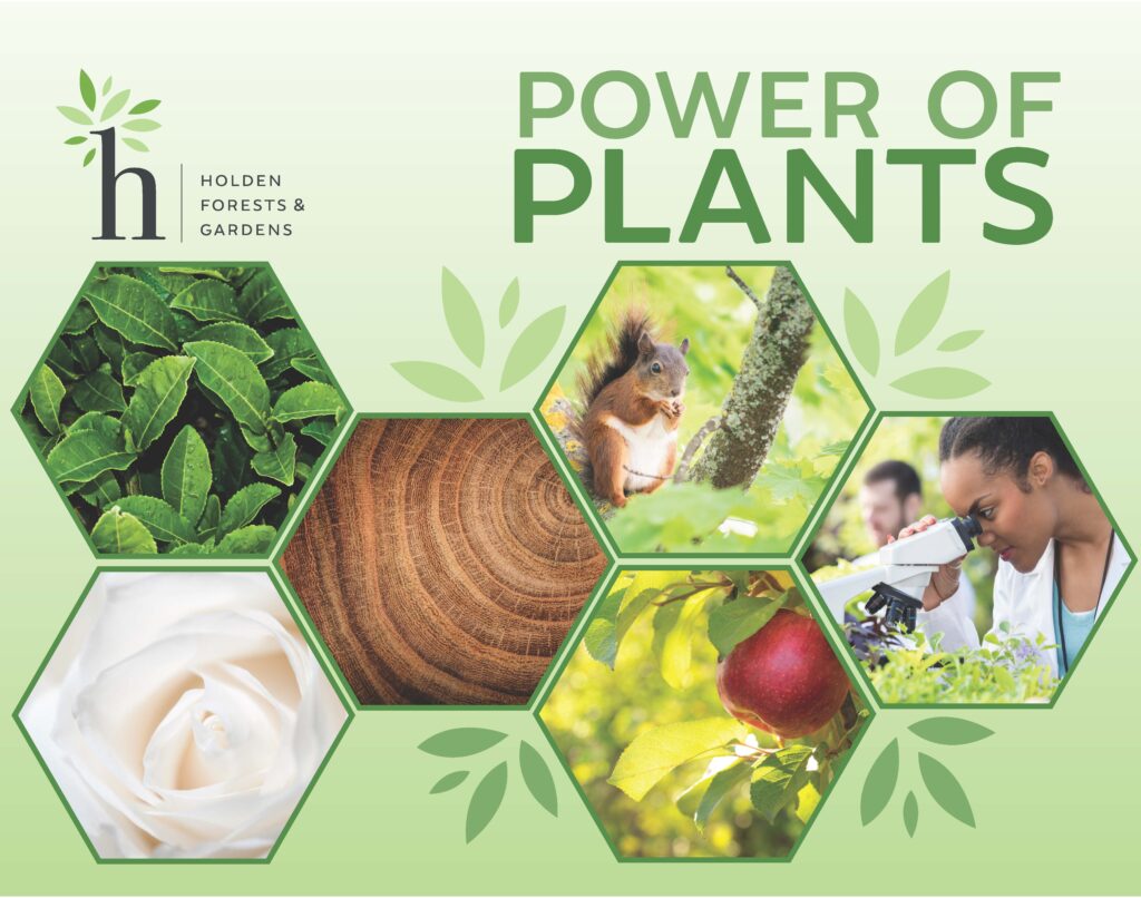 Power of Plants at Cleveland Botanical Garden » HF&G