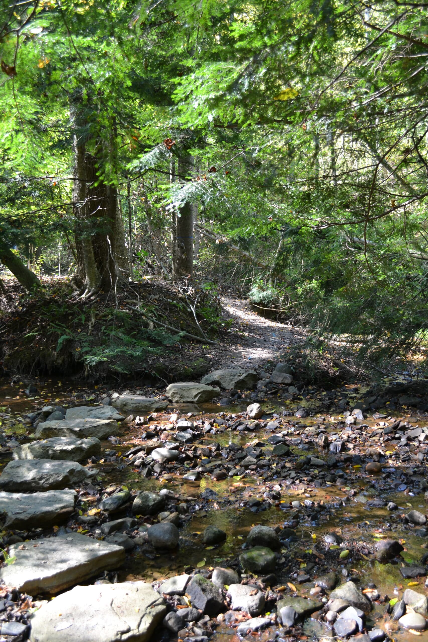 Pierson Valley Trails » HF&G