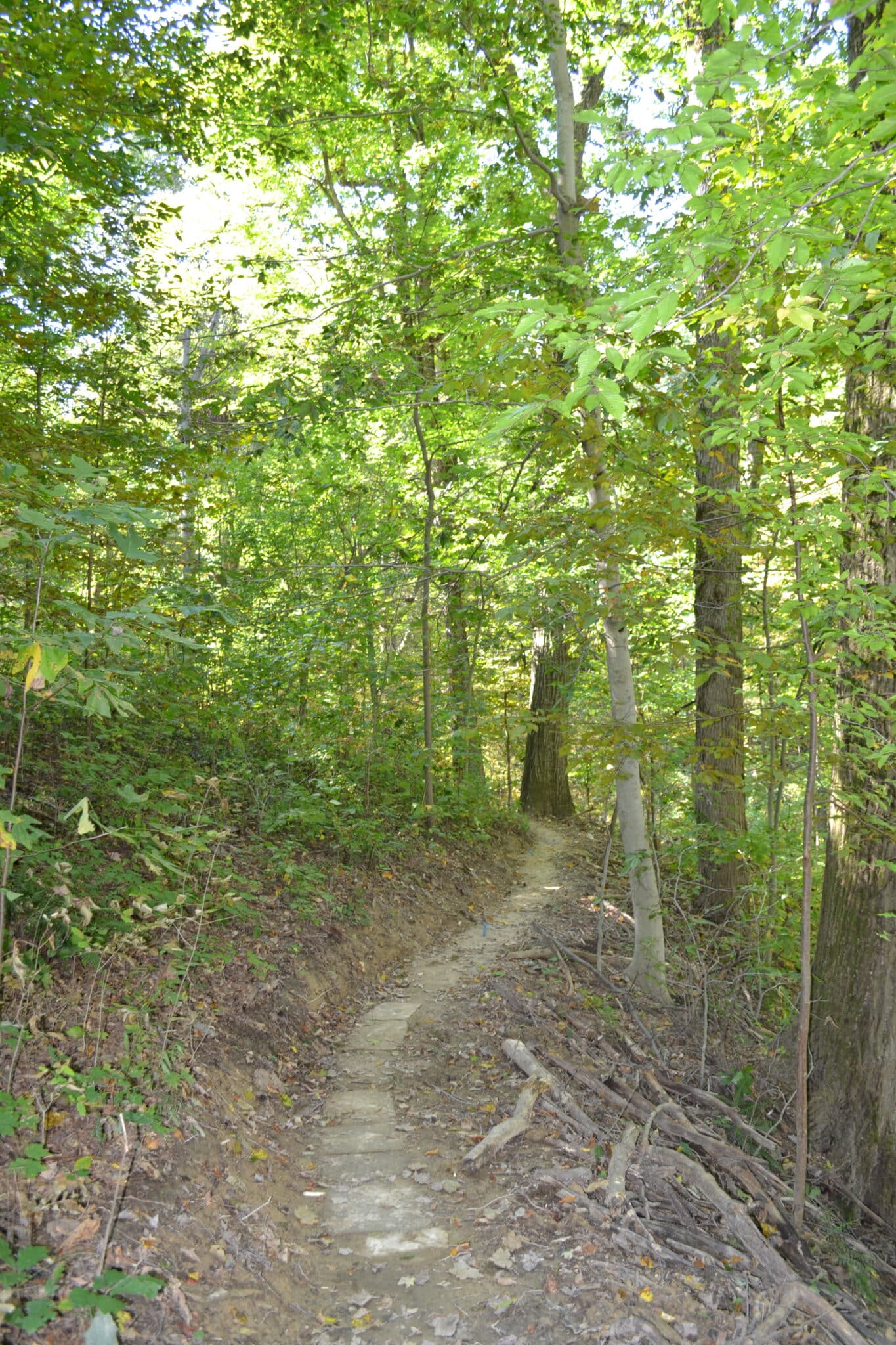 Pierson Valley Trails » HF&G