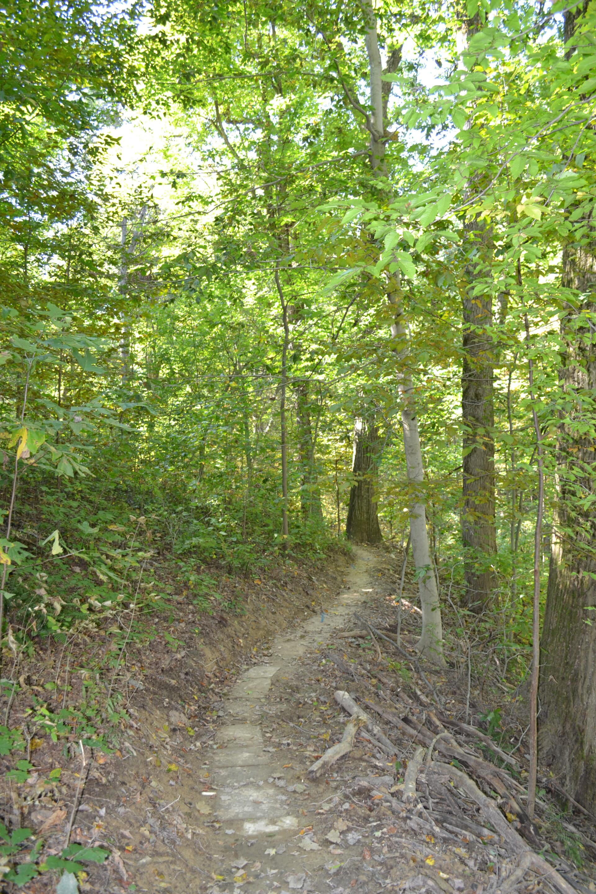 Pierson Valley Trails » HF&G