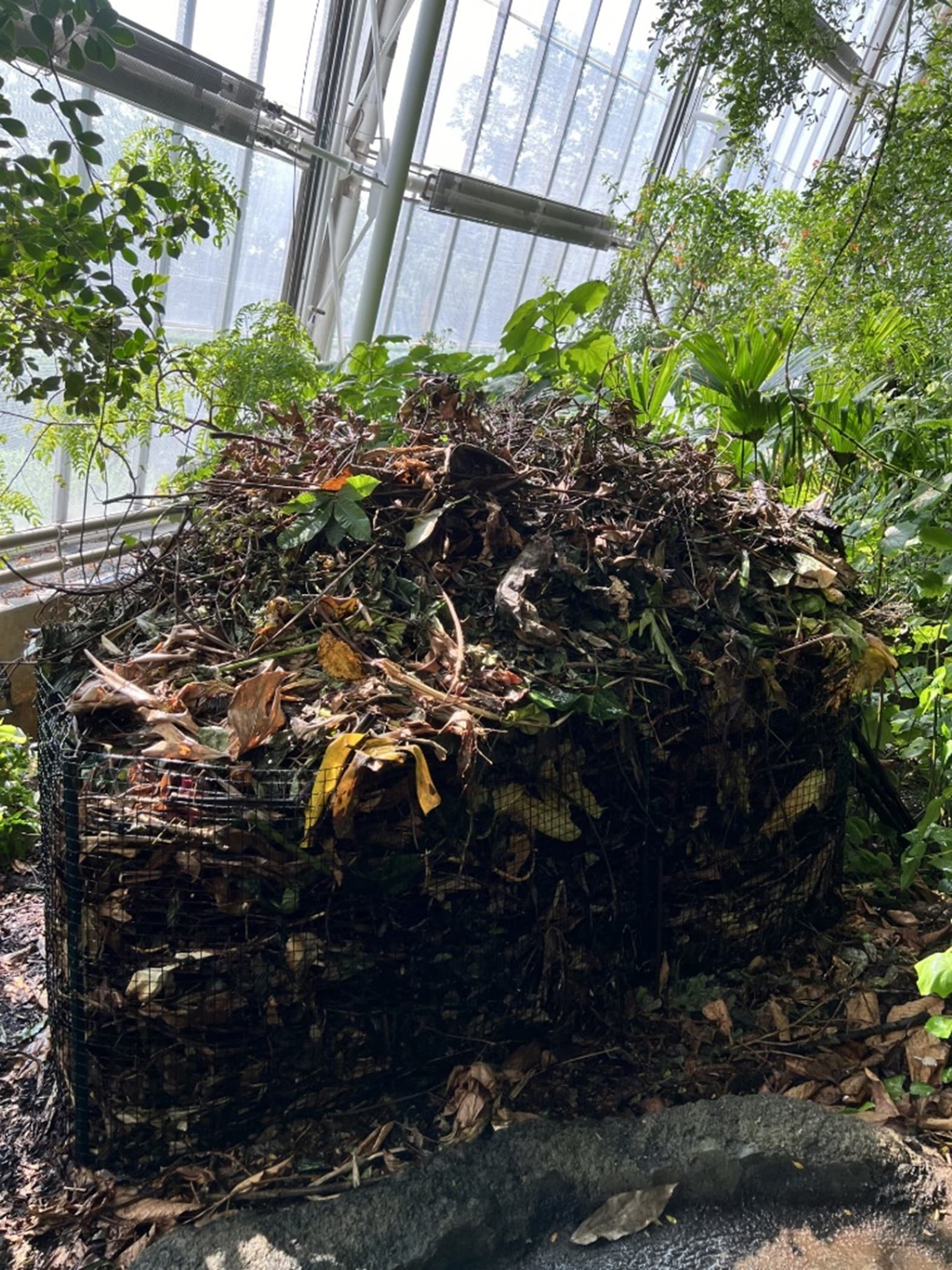 Composting in the Costa Rica Glasshouse » Other » HF&G