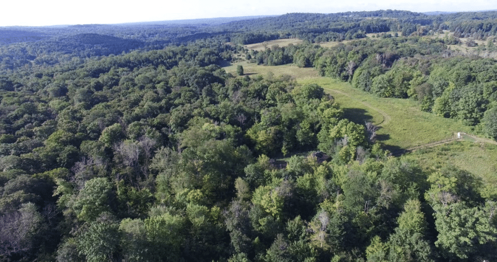 Holden researchers put forest management strategies to the test. Here’s ...