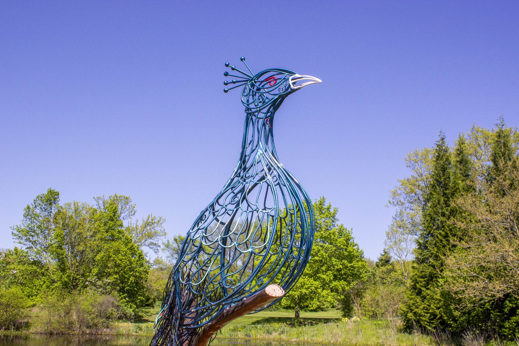 Holden Arboretum Gardens and Attractions » Holden Forests & Gardens