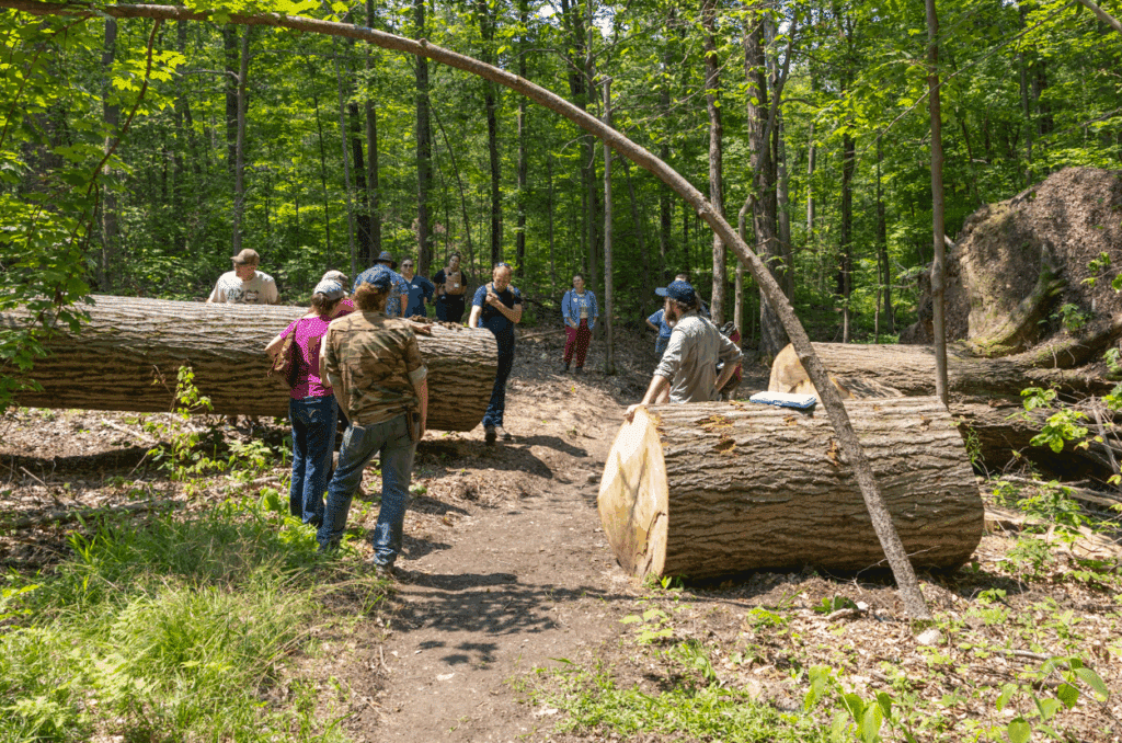 Celebrating Forest Stewardship at the 4th Annual Working Woods Field ...