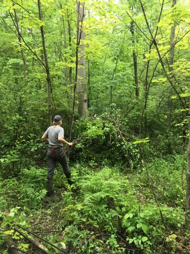 Restoring Forests, Engaging Landowners, Advancing Science—All in One ...