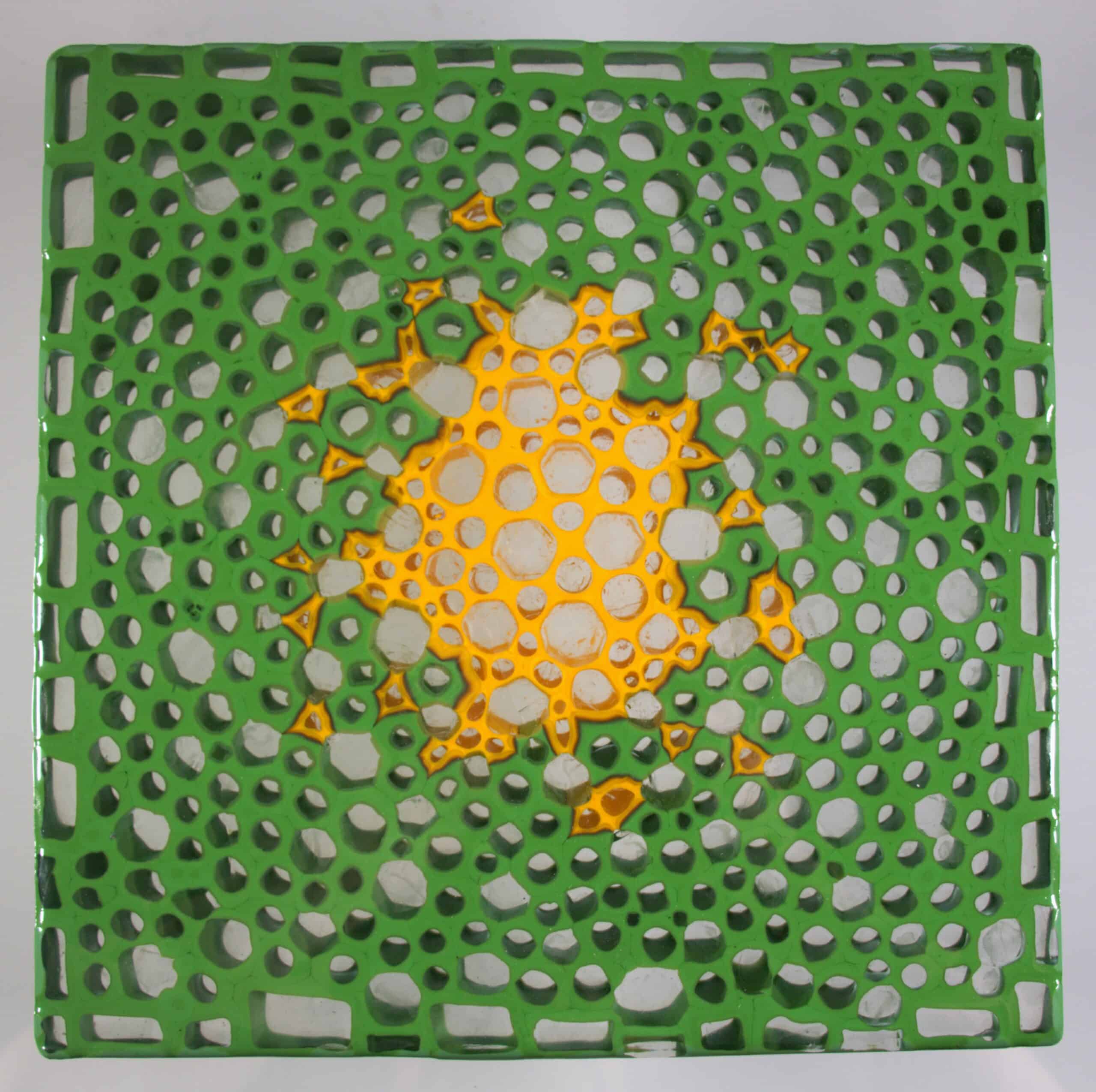 Chromatic Cells » Holden Arboretum » HF&G