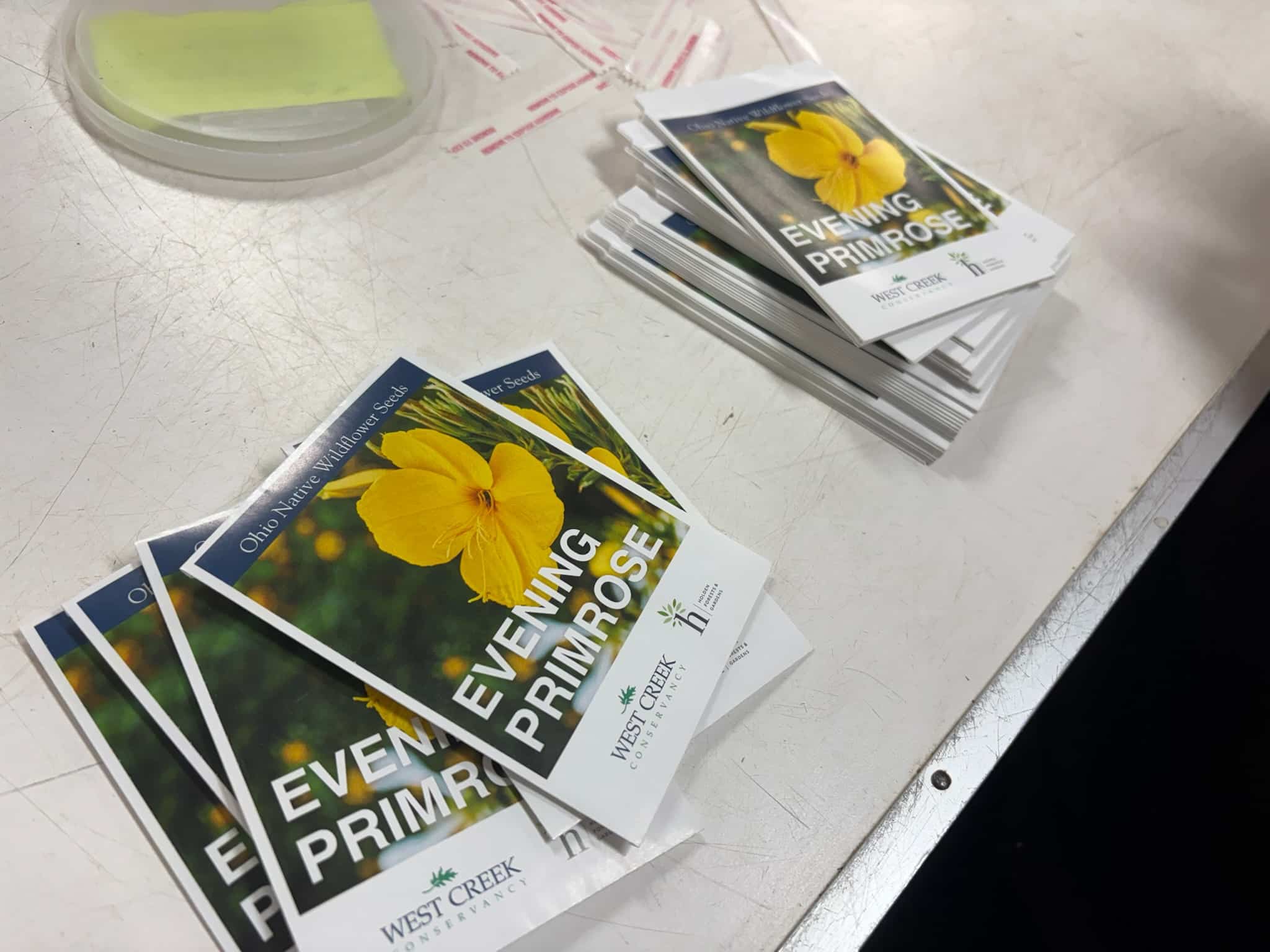 Native Seed Libraries Now Open to the Public » Plants » HF&G